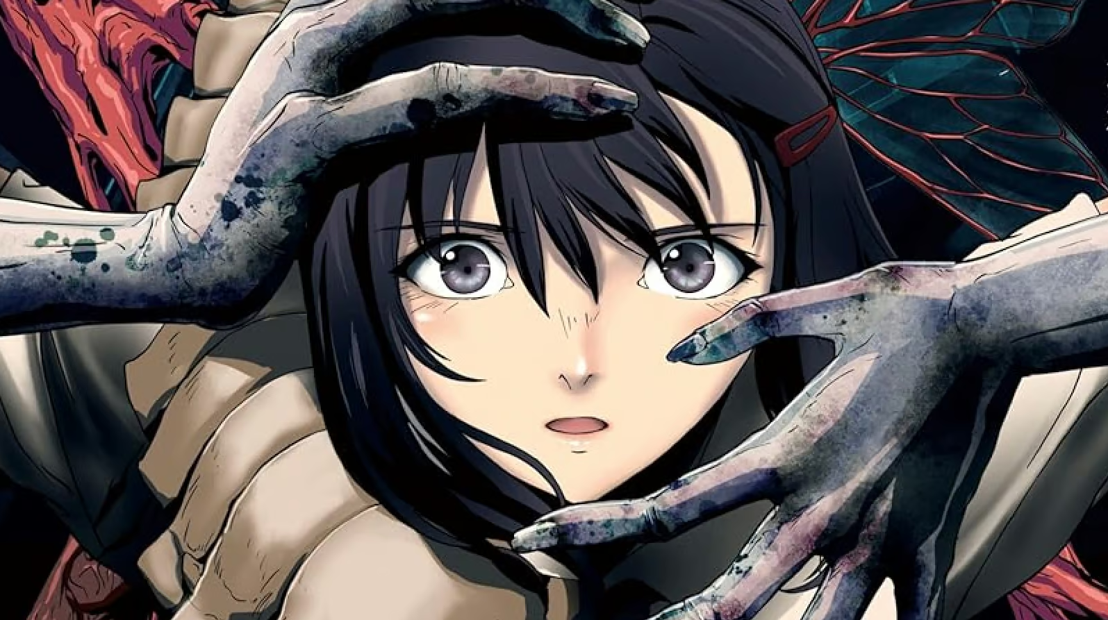 Yeni Animasyon Filmi Calabi-Yau no Sukima'nın Yapımına Başlandı | Aprilis